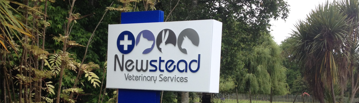 Signwriters Hamilton Van Signs Hamilton 3D Signs NZ